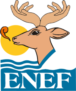 Inicio | ENEF