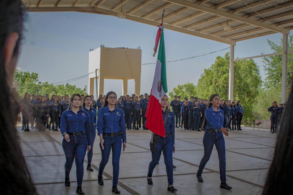 Todos los cursos | ENEF